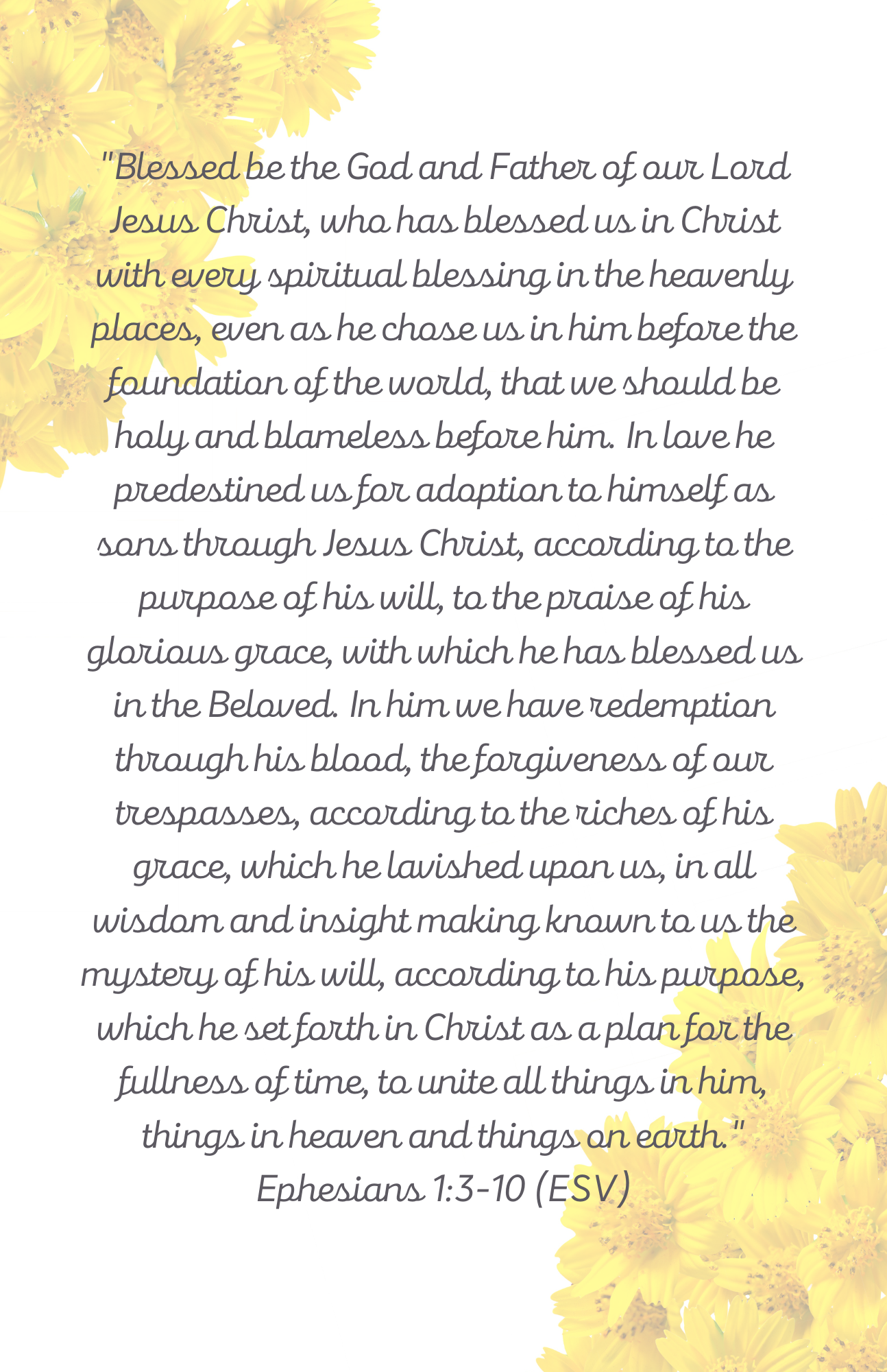 Ephesians Study - Faith FULL Footsteps